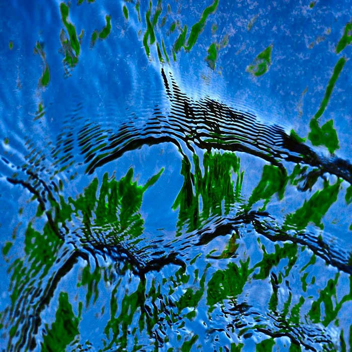 oeuvre-art-photographique-qui-traite-la-matiere-et-les-formes-avec-un-style